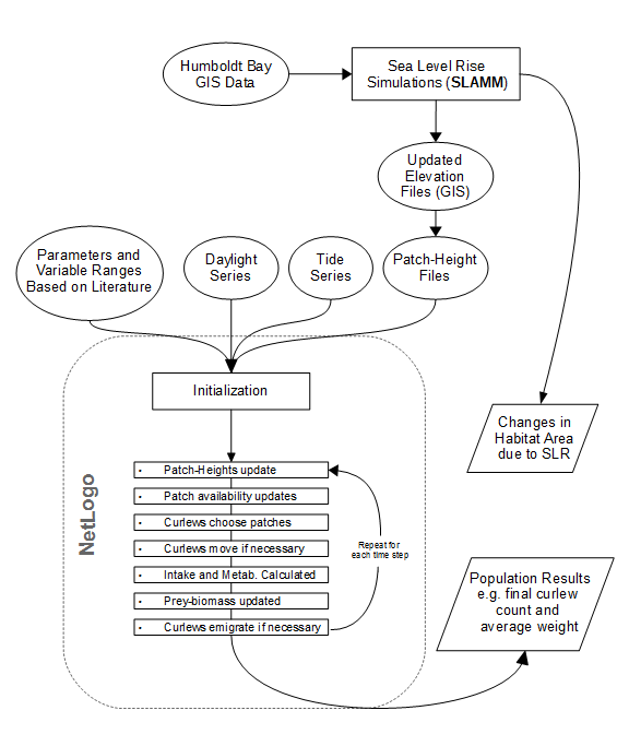 ThesisModelFlowChart | Science of Being Me
